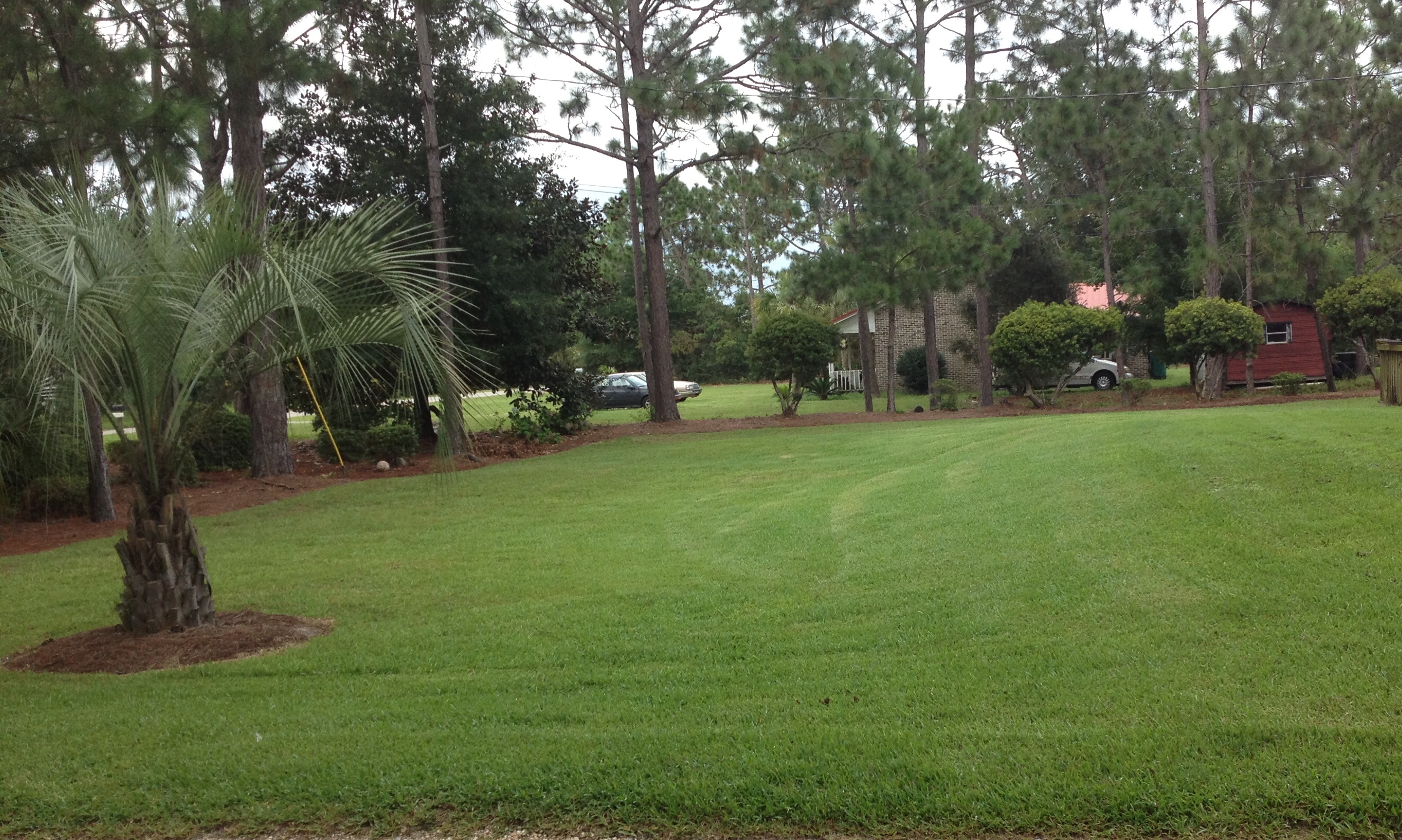 New Type of Grass Offers to Give Homeowners the "Trophy Lawn" They've ...